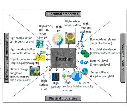Premium Engineered Biochar (Chip)