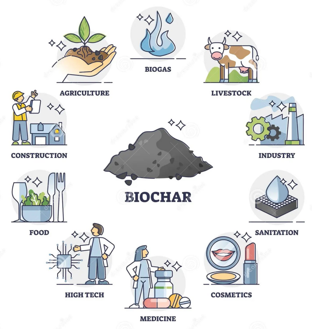 Biochar Uses